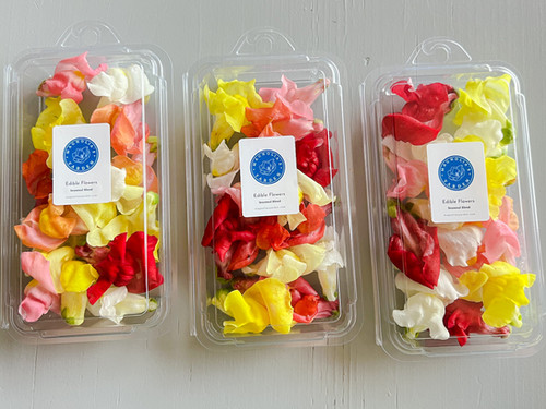 Snapdragon Blend Edible Flower | Organic Flowers Clovis Fresno CA