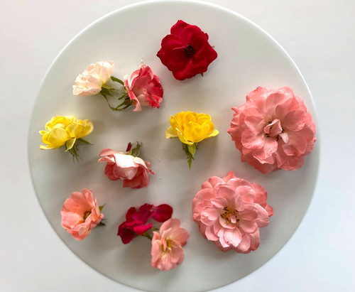 Mini Rose Blend - Edible Flower | Organic Flowers Clovis Fresno CA