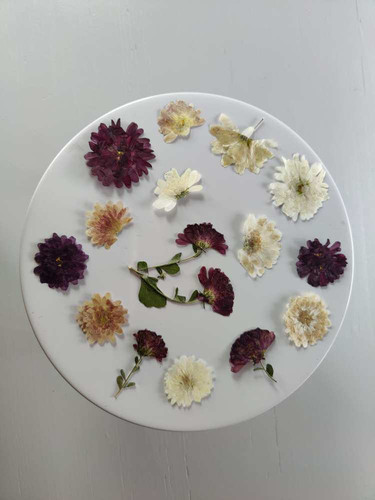 Mum Blend Pressed Edible Flowers | Organic Flowers Clovis Fresno CA