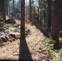 Custom Trail Builder | Private and Public Trails As Effective ...