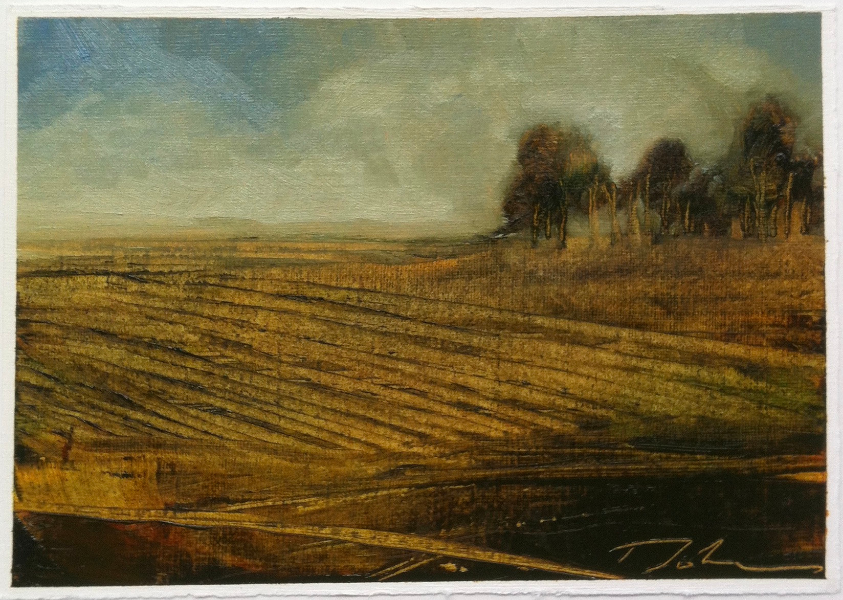 Landscape Works | Timothy John Fine Arts | Australia