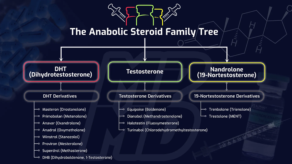https://endurefatigueathle.wixsite.com/website/post/the-anabolic ...