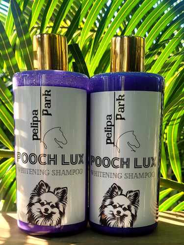 Pooch Lux Whitening Shampoo | Pelipa Park Equine P