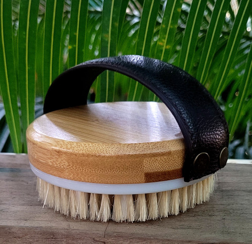 PP Wash Brush | Pelipa Park Equine P