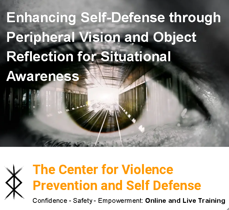 Enhancing Self-Defense through Peripheral Vision and Object Reflection ...