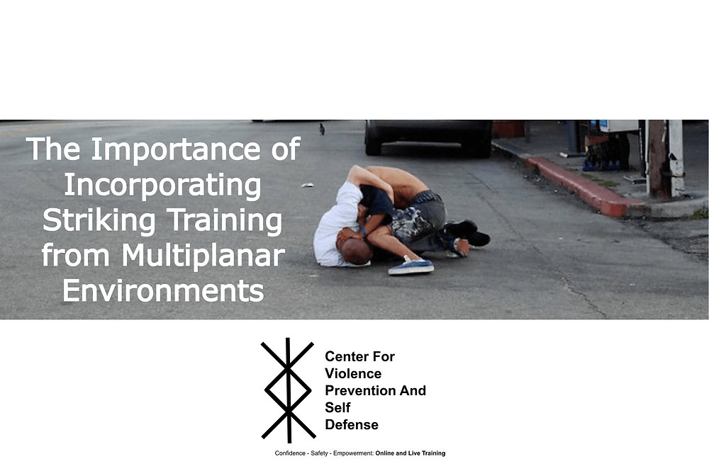 Incorporating Striking Training from Multiplanar Environments In Self ...
