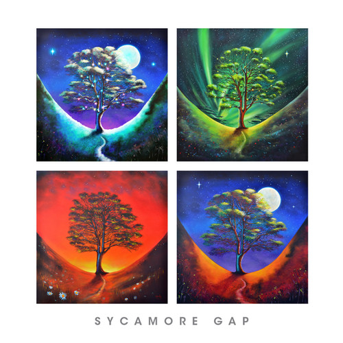 Sycamore Gap card | darrenmundyart