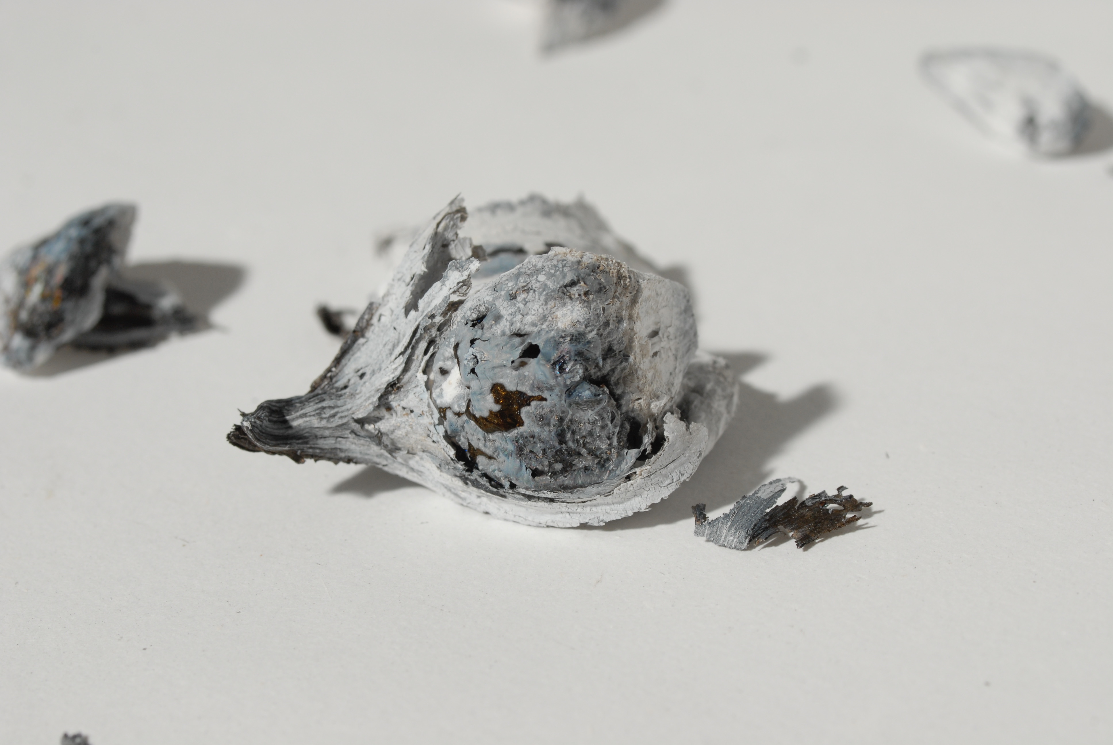 Carbonisation | elleford