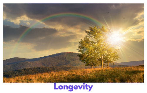 Longevity Custom Panel | quantum-life