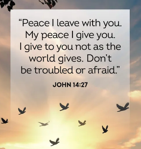 'The Way' Scriptures Custom Panel For Your Quantum iNfinity | quantum-life