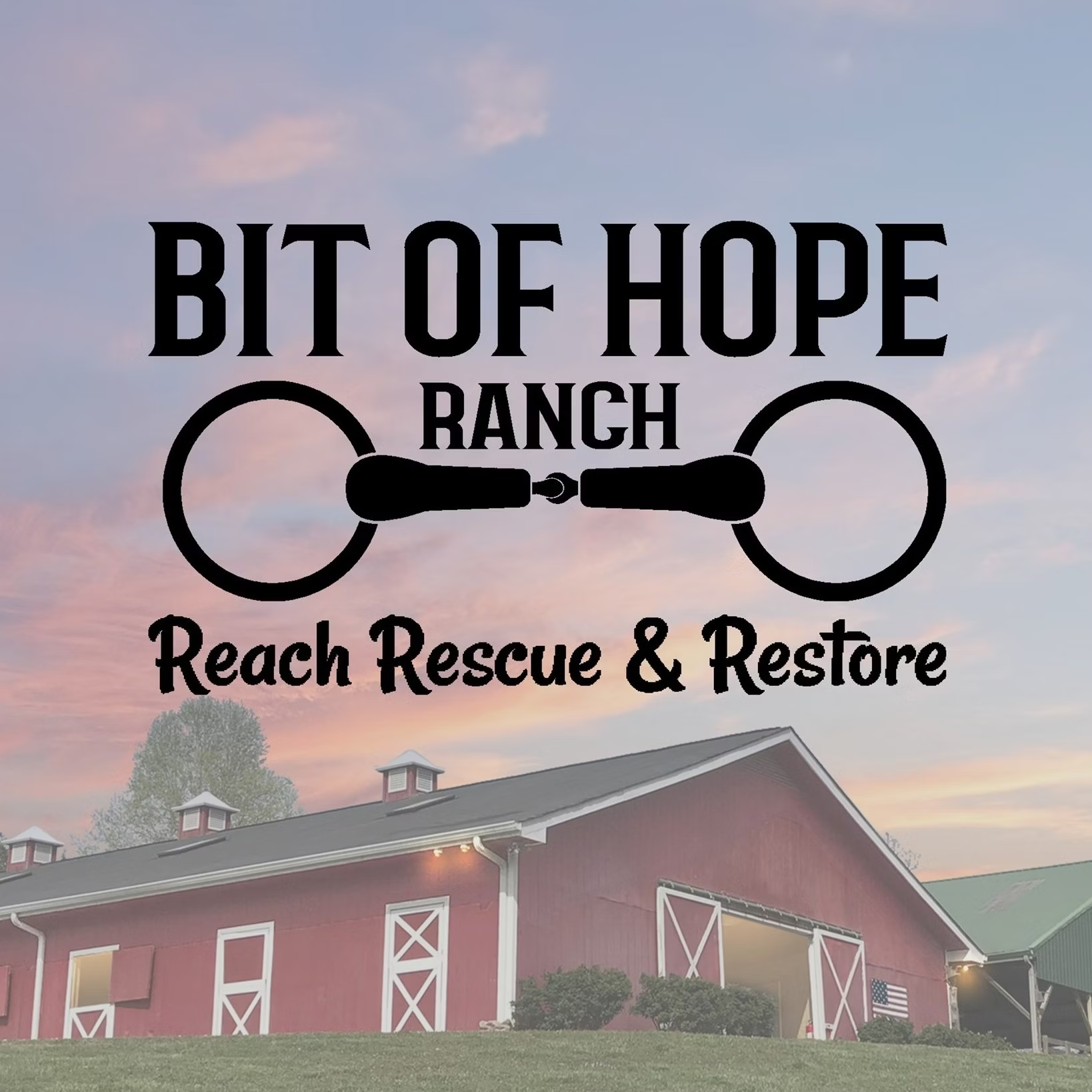 🐴 GBA Investor Offering a New Type of Therapy