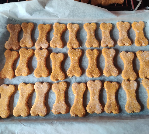 Home | Bark Biscuits