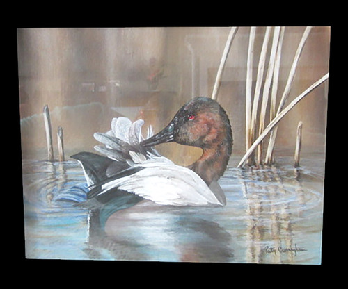 Grooming Canvasback by Patty Cunningham Acrylic 16x19 | RAL Art Center