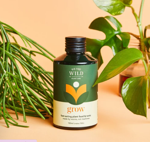 We The Wild - Grow Concentrate | POTTED THOUGHTS