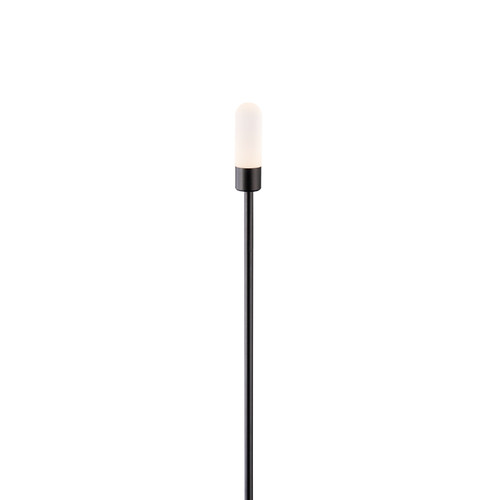 LED Reed Light | sun-international