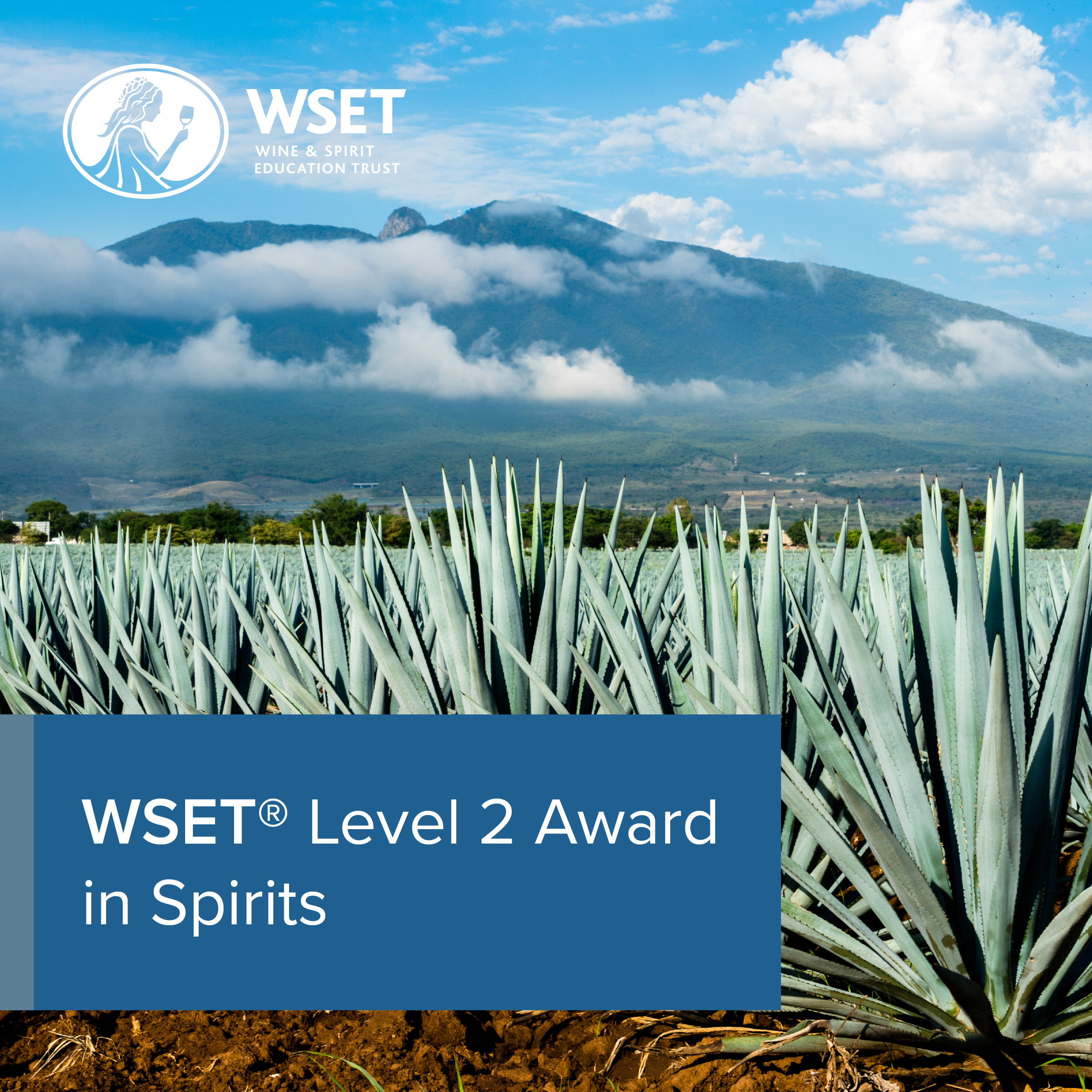 WSET Level 2 Advanced Course in Spirits – English, Sundays (March 2025 ...