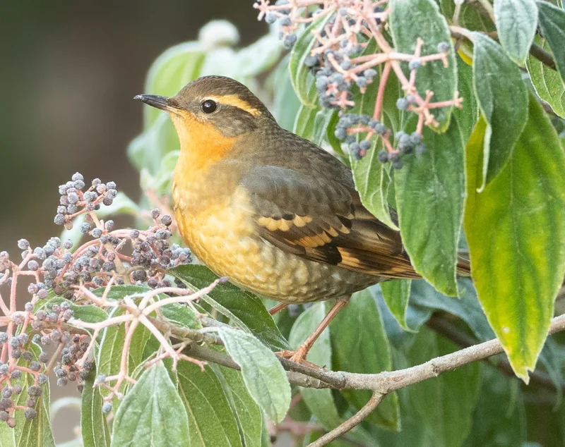 HOME | KATHY HARTMAN