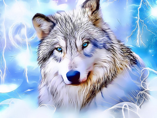 Starlight Wolf Dream | alanfoxx