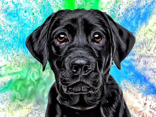 Digital Download 8 5 By 11 Lab Unconditional Love Alanfoxx