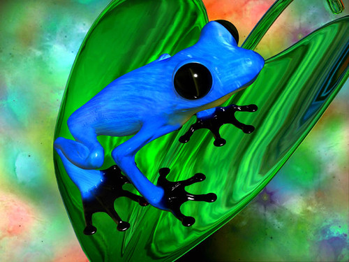 Blue Hopper | alanfoxx