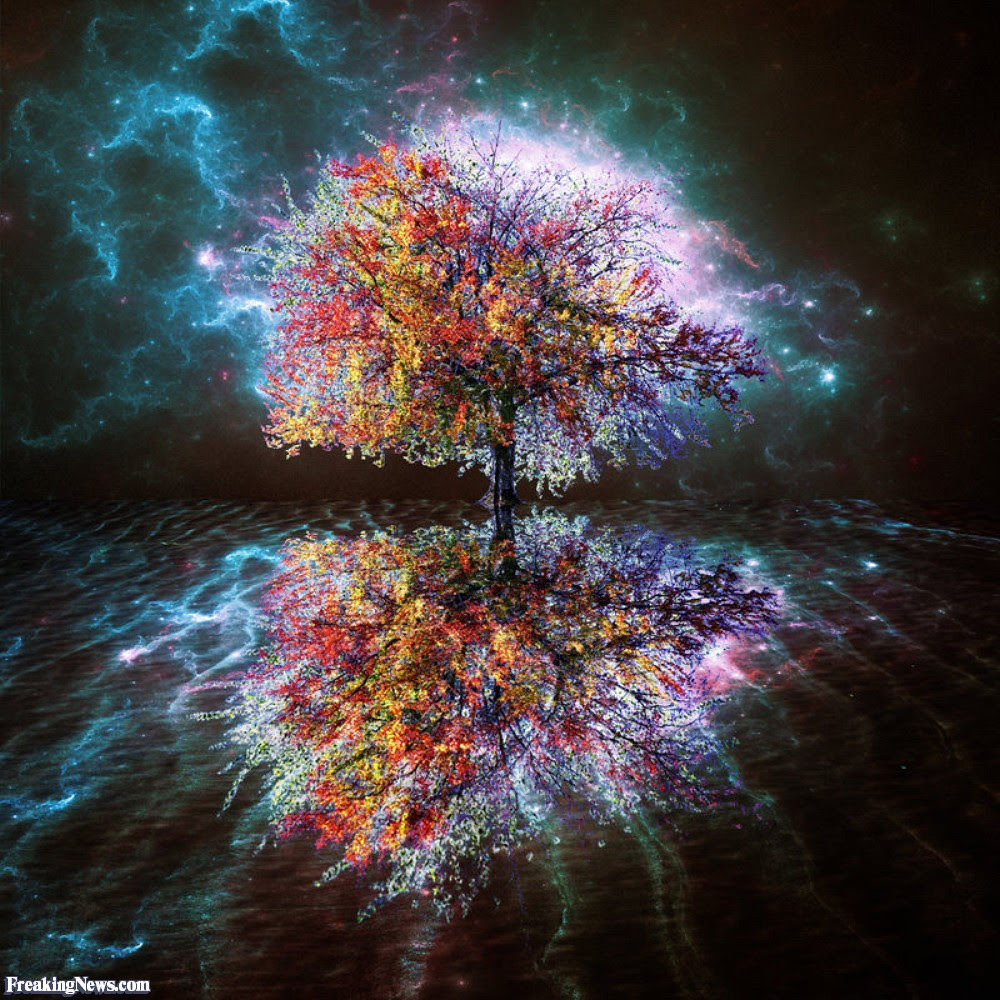 Wisdom From The 3 Planes Of Existence