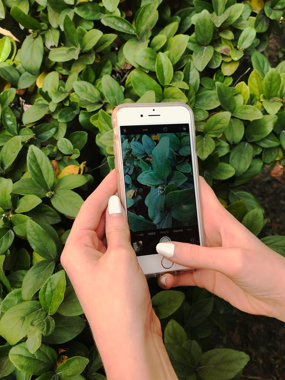 5 ways to improve your cellphone photos