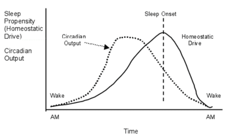 Sleep: A General Overview