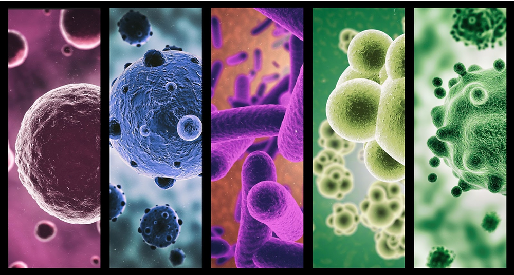 An Introduction to Microbial Pathogenesis and Human Health