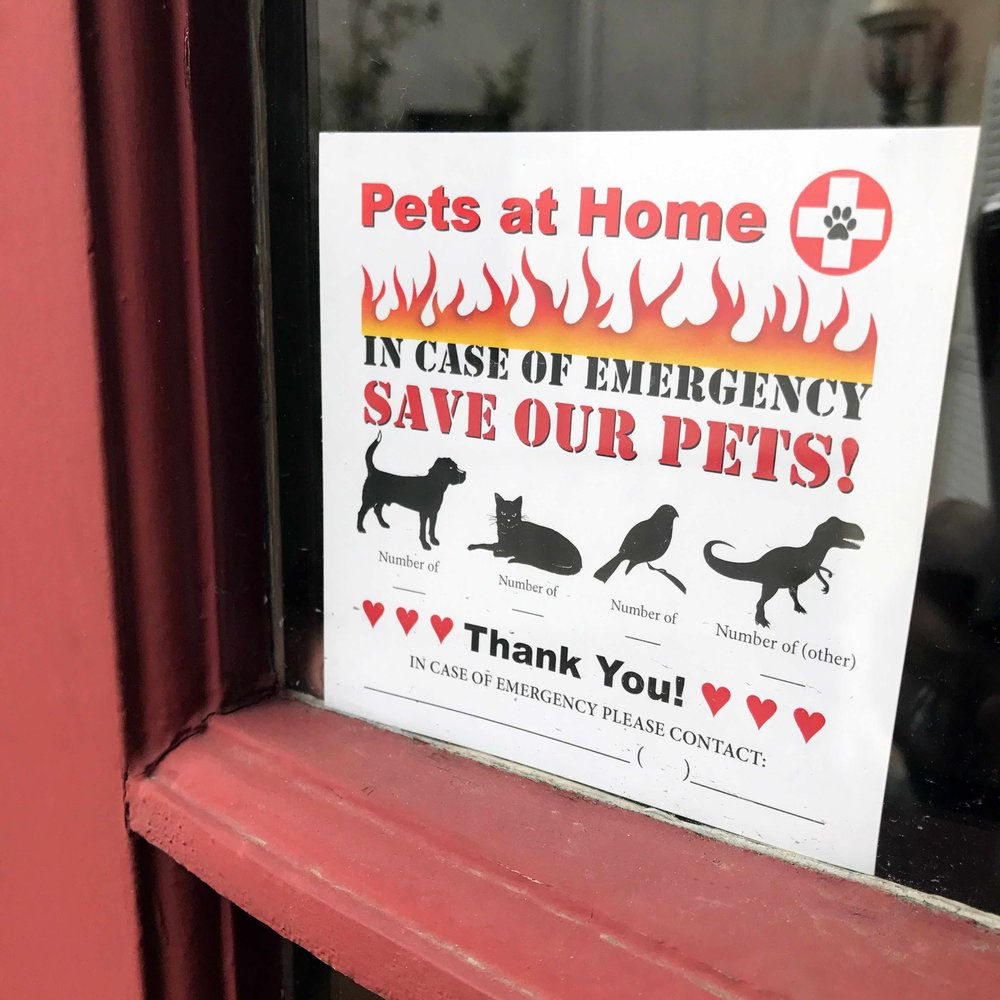 Animal Disaster Preparedness: Are You Ready? | Blog | Metro Paws