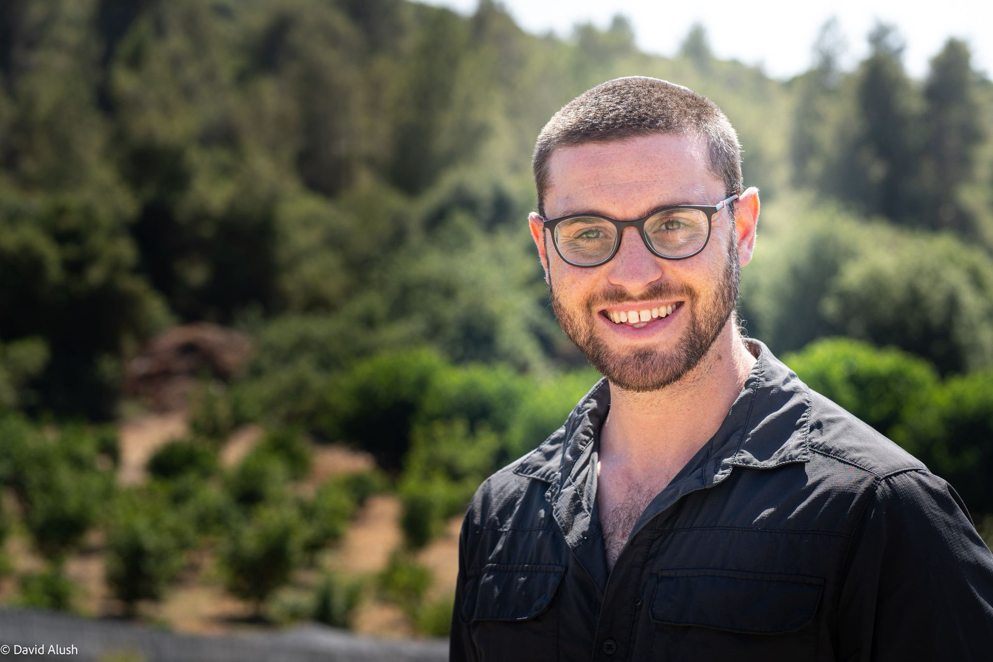 TOUR PACKAGES | Dean's Israel Adventures