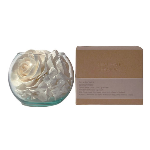 SOLA FLOWER / Solarium / Rose | SanwaTradinginc