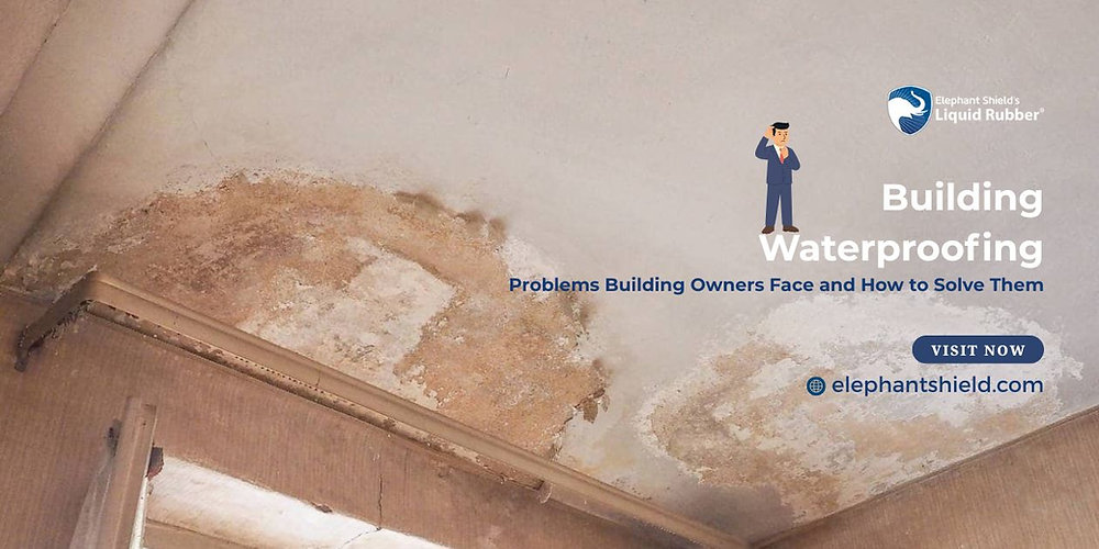 Building Waterproofing Problems Building Owners Face and How to Solve Them