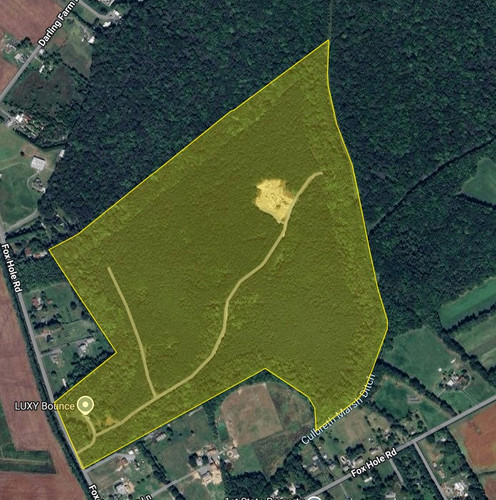 133ac Wooded Land in Wyoming, DE (Kent Co) | CapitolAreaBowhunter