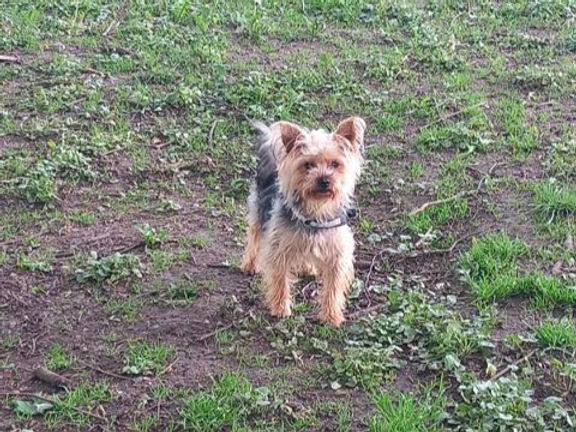 Fussel - klein, aber oho!