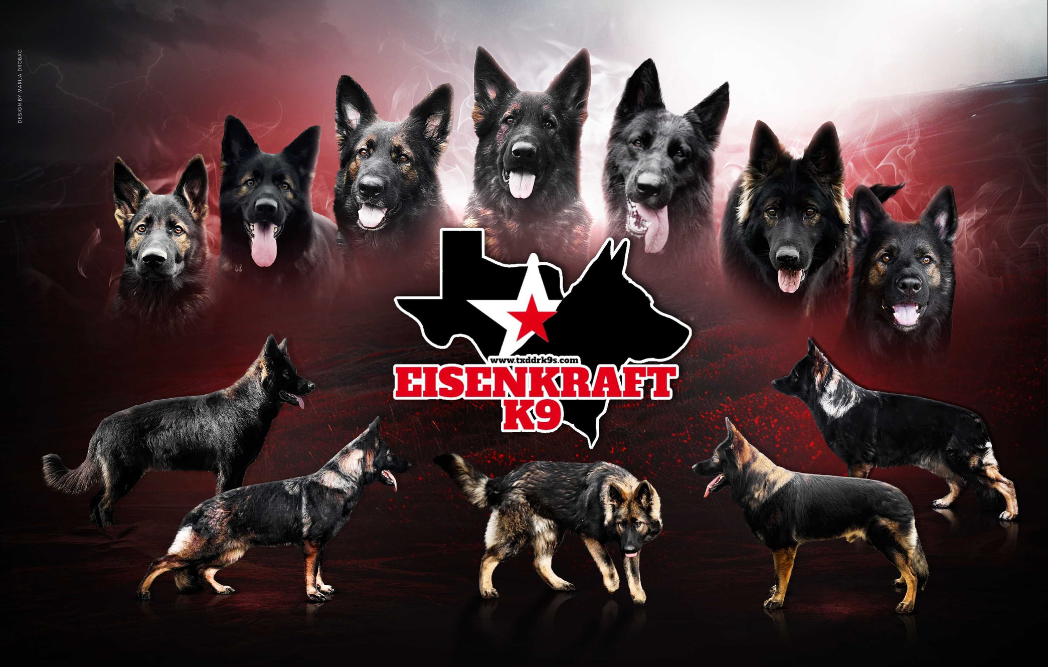 Common Questions about GSD's | Texas DDR GSD