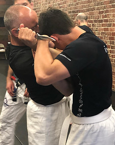 Adult Self-Defense | Iq Jiu Jitsu Hillsbo