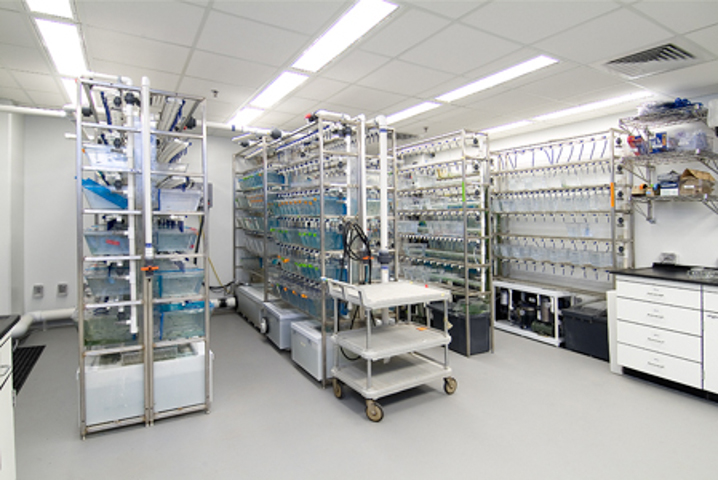 Vivariums | Belnor Engineering | North America