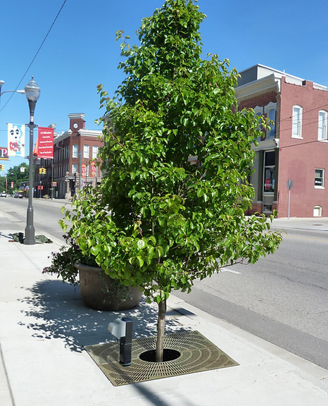 Tree Pits / Tree Wells | StormTree