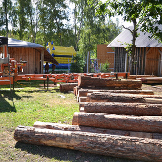 Ritz-Ratz Festival | Kettensägenkunst | Musikprogramm