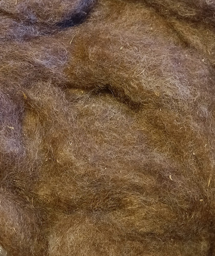 "Cambridge" - moorit Shetland wool roving | Horse n Round