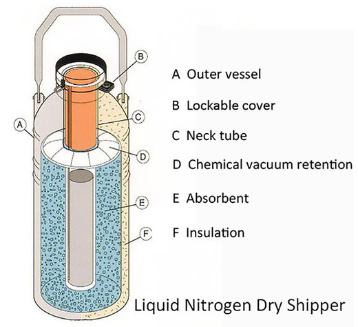 Heyi | Liquid nitrogen dry vapor shipper