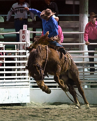 2024 Homestead Championship Rodeo | Homestead Rodeo