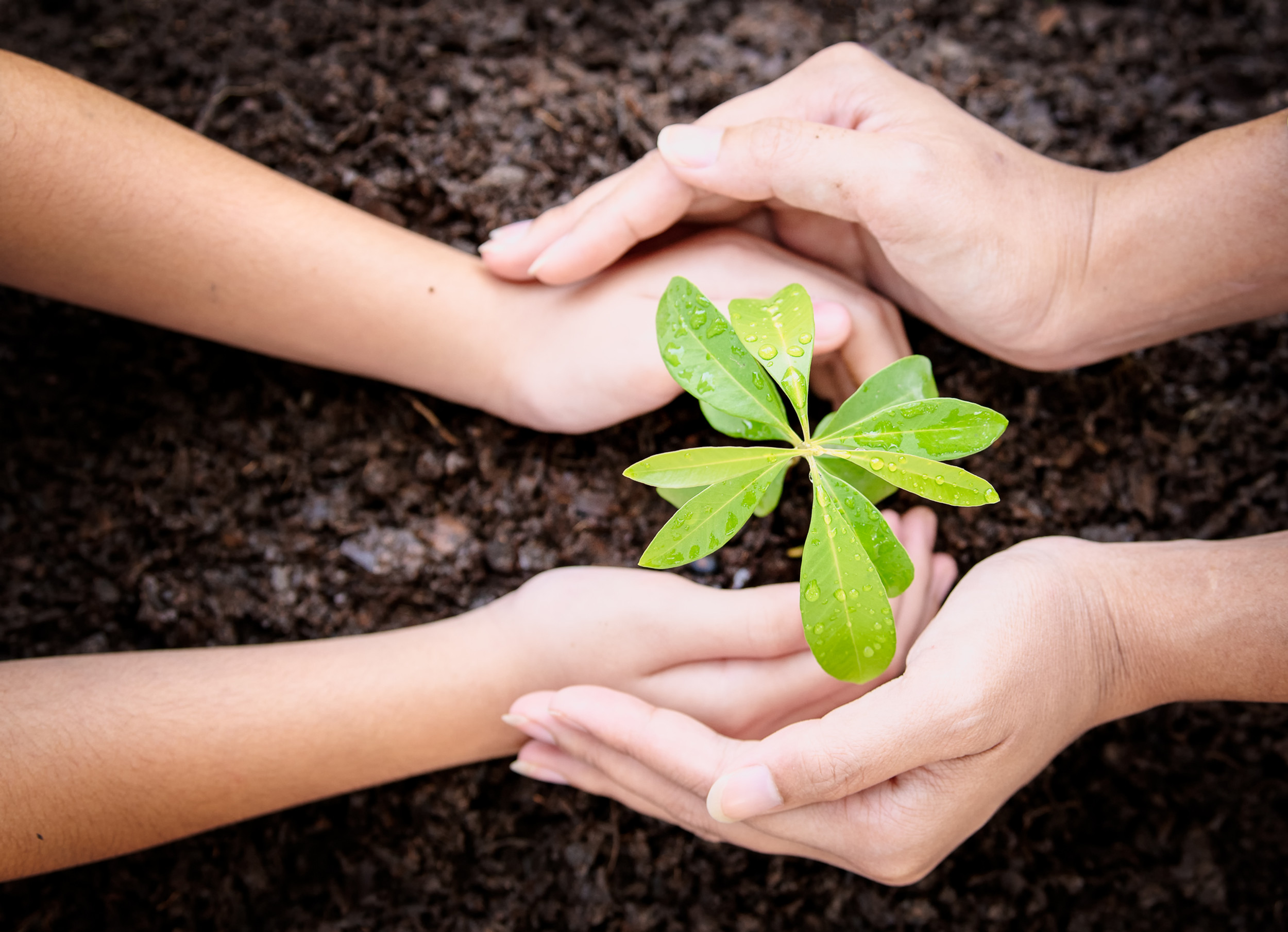 Home CHIME To Thrive Mental Health Support home-chime-to-thrive-mental-health-support