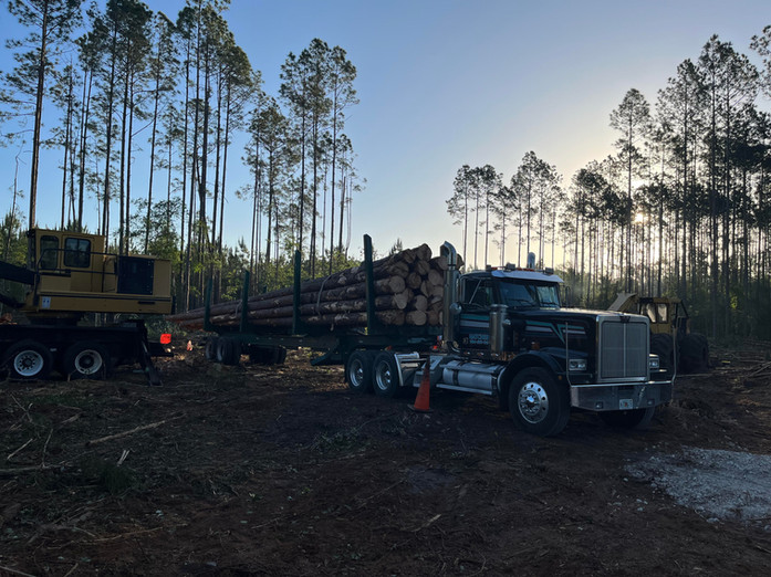 Work Gallery | Hatchers Timber