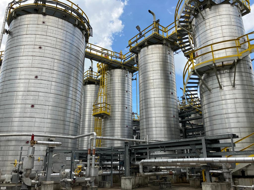 2019 Live Plant Expansion Project