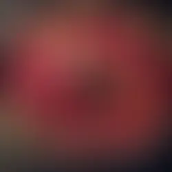 Matthew Gauger | The Greenhorn Guides