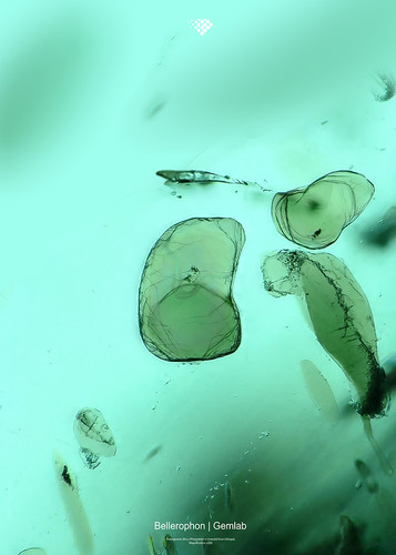 Mica in Ethiopian Emerald | Bellerophon