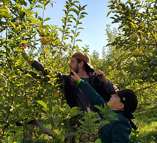 About | Big Red Orchard