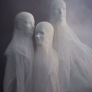 Ghosts of Emily Fowler Library