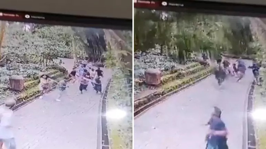 Queda de árvore gigante mata turistas em Bali, Indonésia